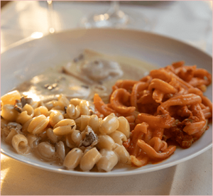 Authentic Italian Cuisine | Rochester MI. | Silver Spoon Ristorante